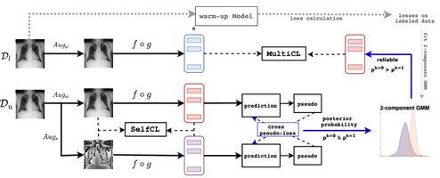 Constantin Seibold - Personal Website